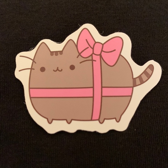 Pusheen | Accessories | In Bundle Pusheen Birthday Ribbon Present ...